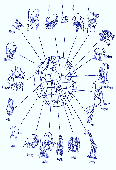 Zoo Geographical Evidece of Evolution | BIOZOOM